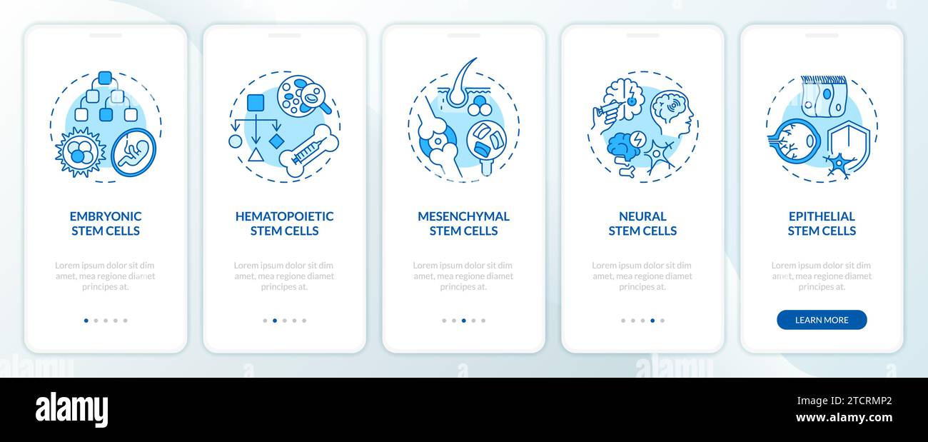 Walkthrough types of stem cell with blue thin line icons Stock Vector ...