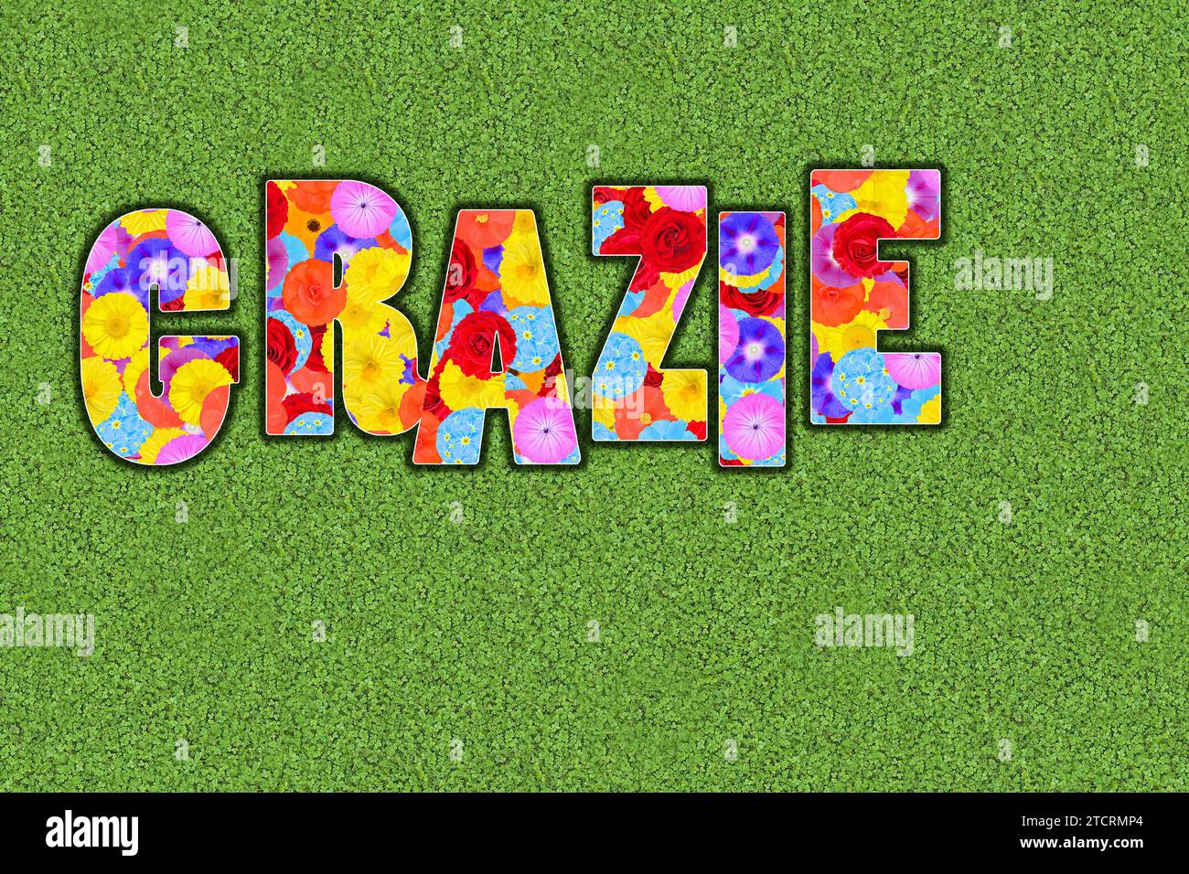 Grazie, italian for thank you, written with colorful flowers on a green ...