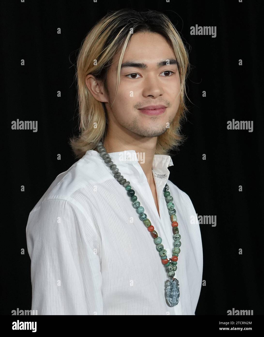 Los Angeles, USA. 13th Dec, 2023. Sky Yang arrives at the Netflix's REBEL MOON - PART ONE: A ...