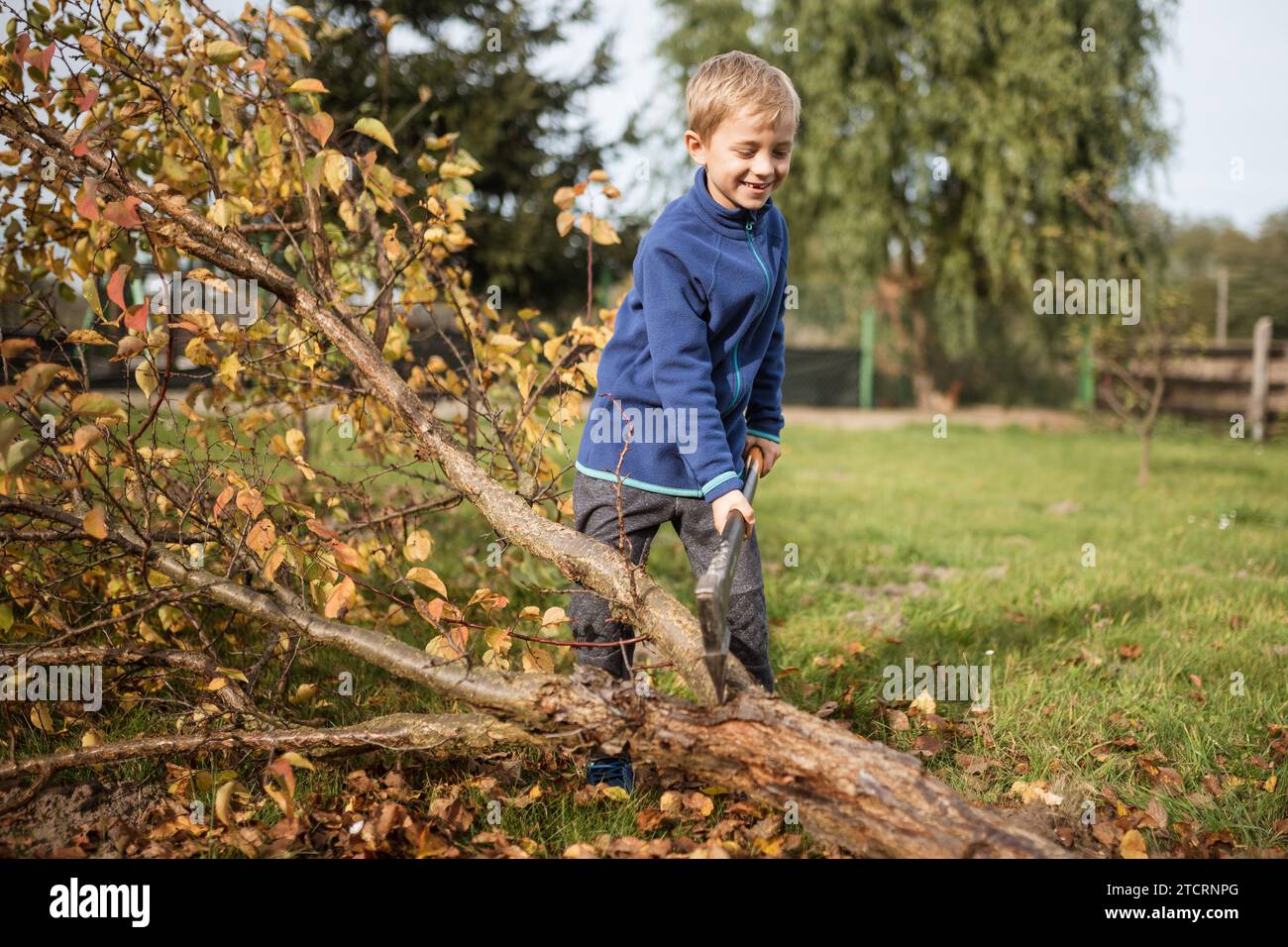 Chopping a tree hi-res stock photography and images - Alamy