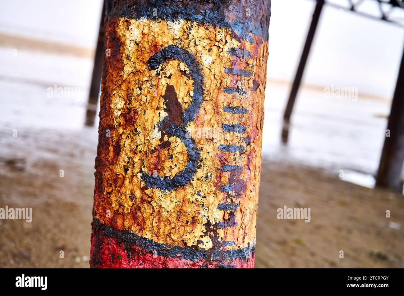 Leg markings hi-res stock photography and images - Alamy