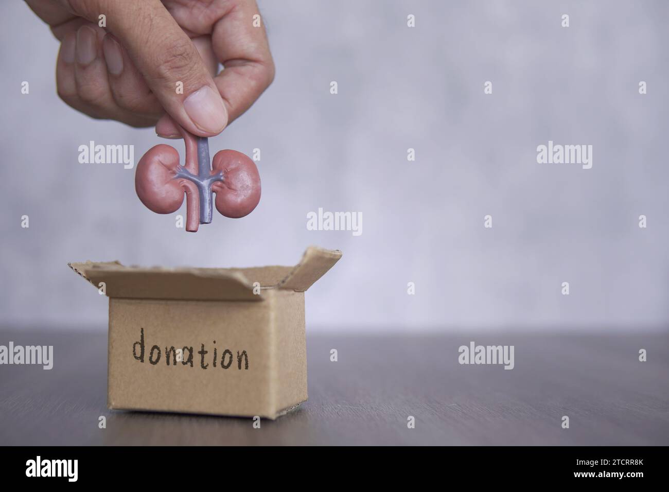 Hand putting kidney into donation box. Copy space for text. Organ ...