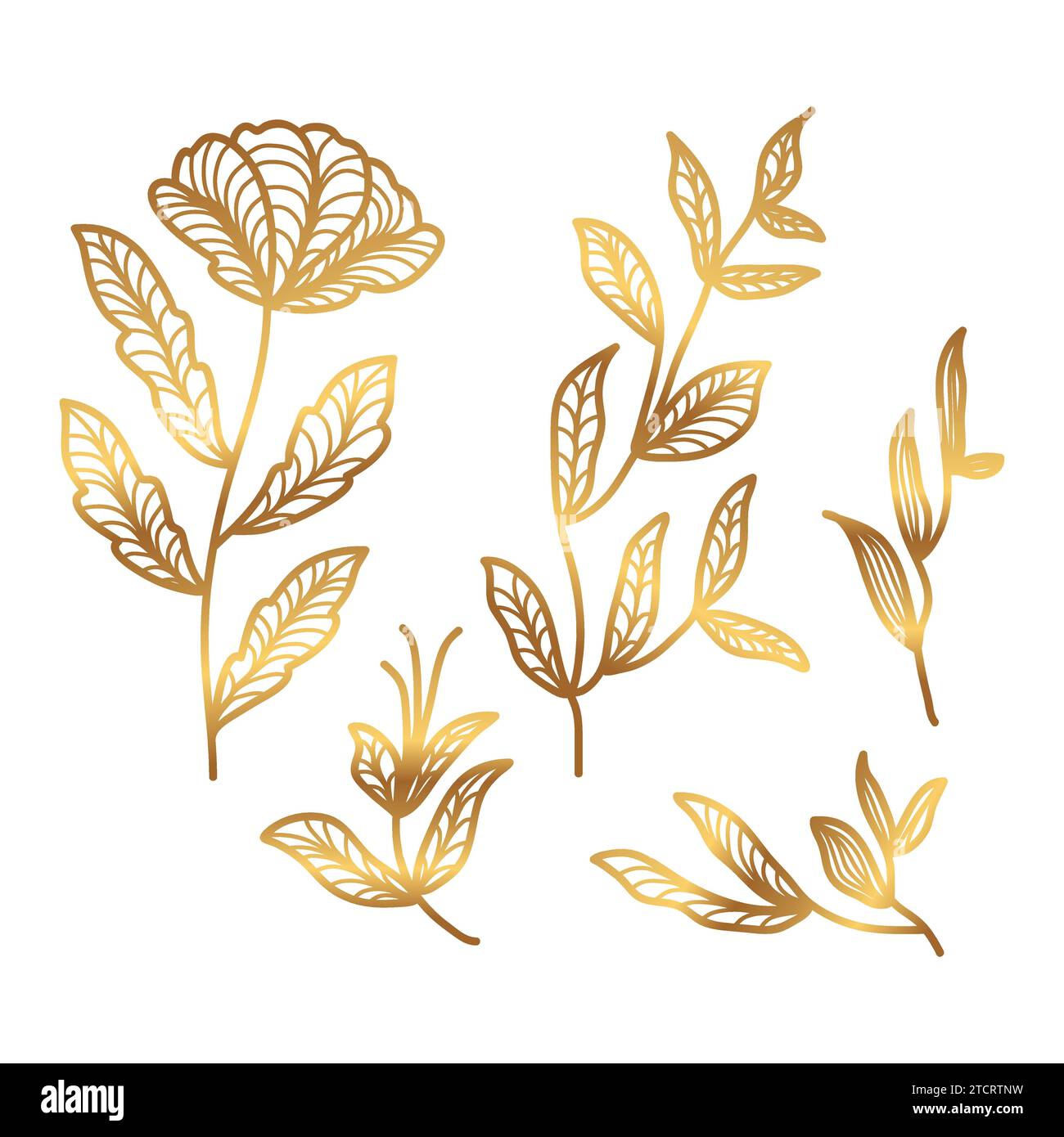Golden Floral Vector Illustration with Line Style. Luxury Hand Drawn ...