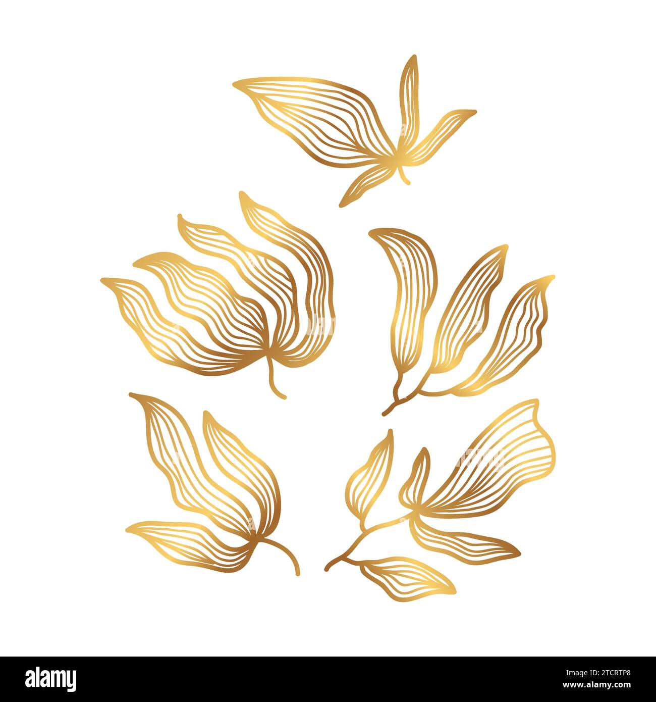 Golden Floral Vector Illustration with Line Style. Luxury Hand Drawn ...