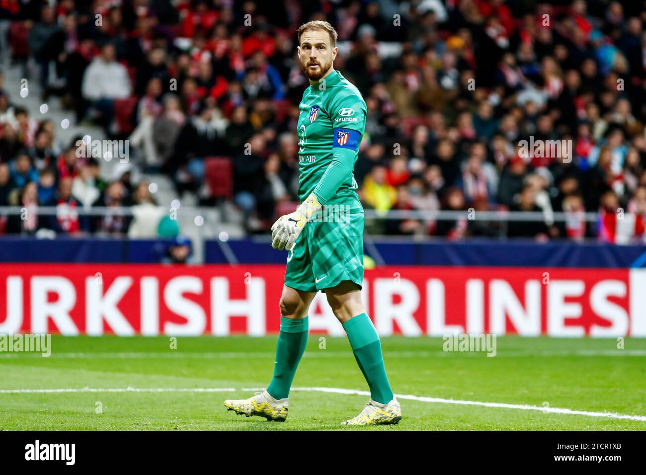 Jan Oblak of Atletico de Madrid during the UEFA Champions League, Group E football match between ...