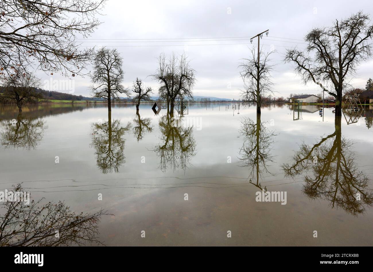 Riedlingen, Germany. 14th Dec, 2023. Trees are under water in the ...