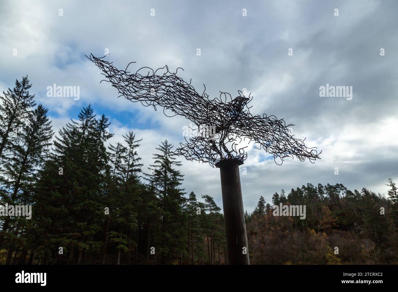 Osprey sculpture created by artist Rob Mulholland Lochan Spling near ...