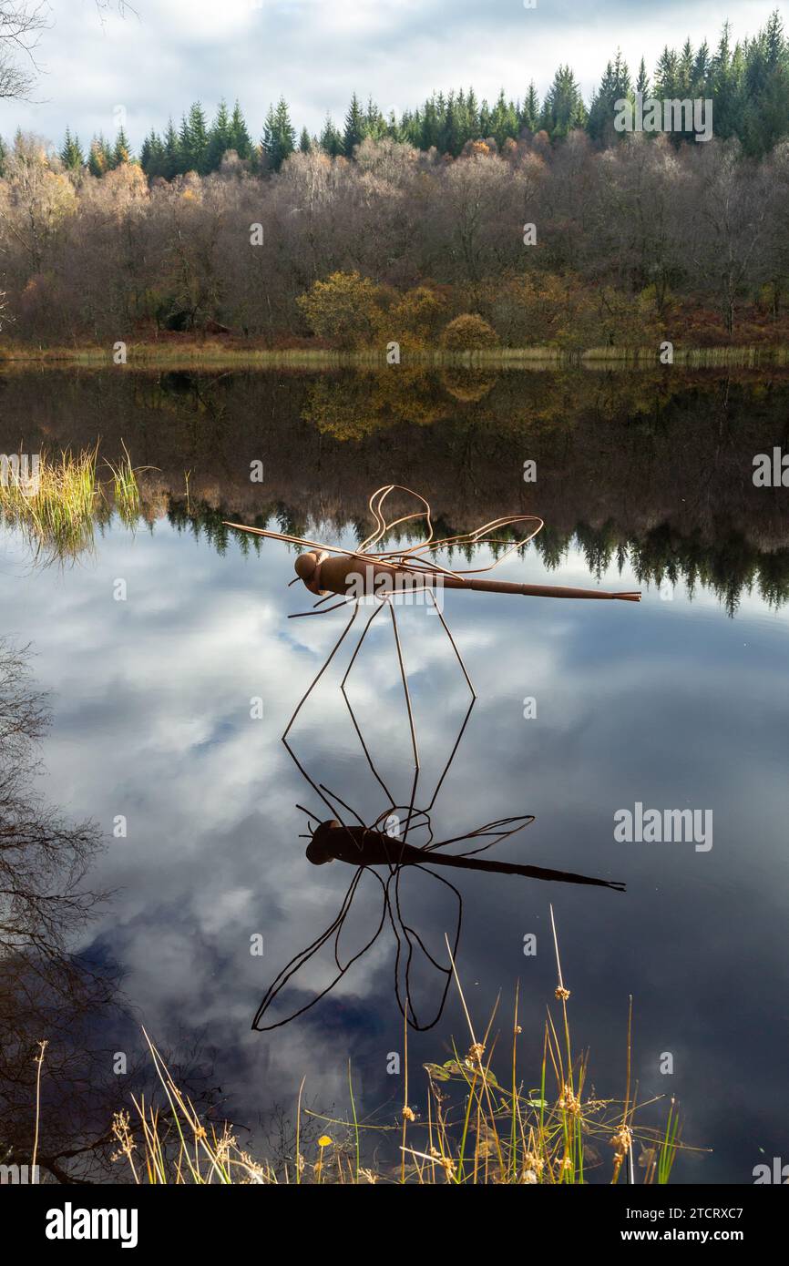 Dragonfly Sculpture created by artist Rob Mulholland Lochan Spling near ...