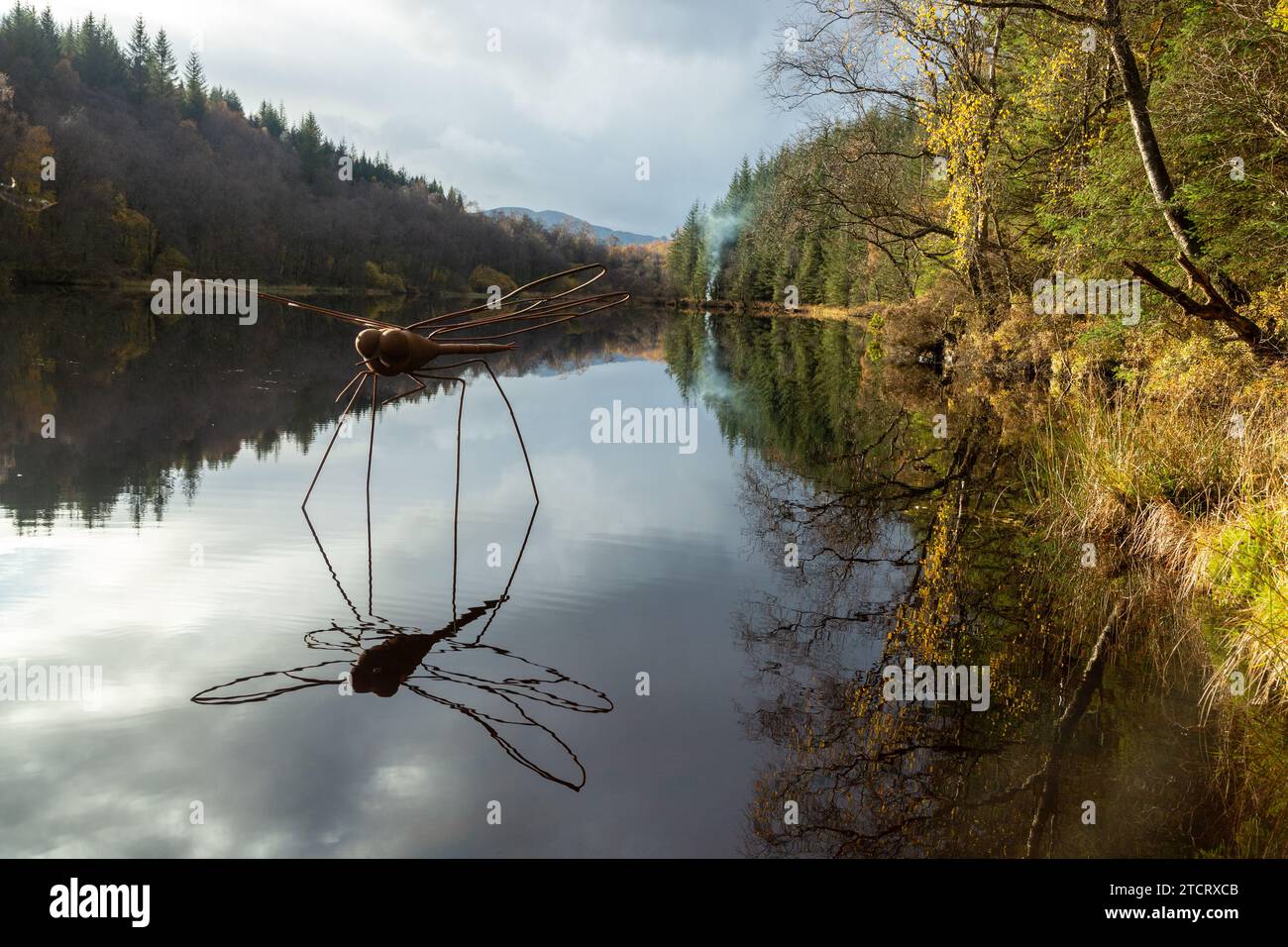 Dragonfly Sculpture created by artist Rob Mulholland Lochan Spling near ...
