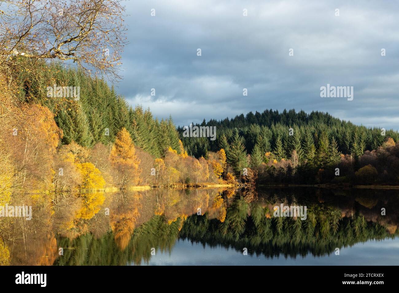 Lochan forest hi-res stock photography and images - Alamy