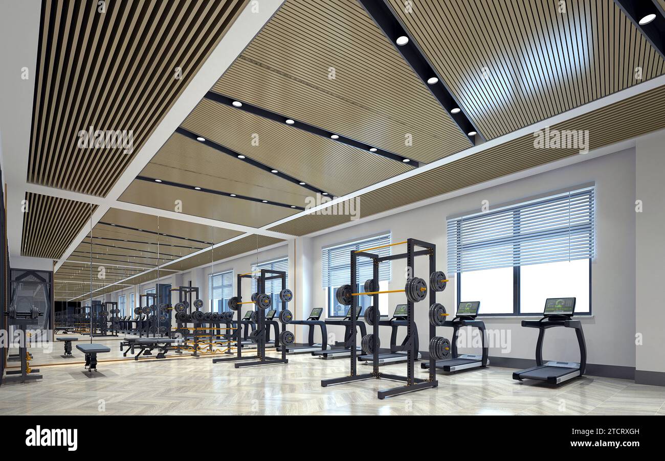 3d render fitness workout wellness center Stock Photo - Alamy