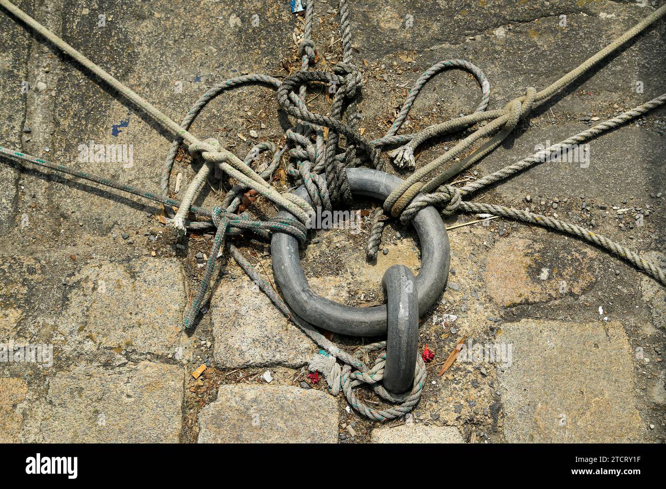 Mooring ropes knotted to a steel ring, Island of Noirmoutier, Vendee ...