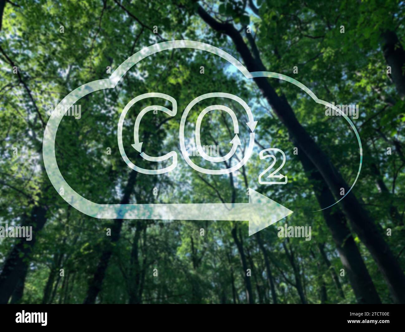 Concept of clear air. CO2 inscription in illustration of cloud with ...