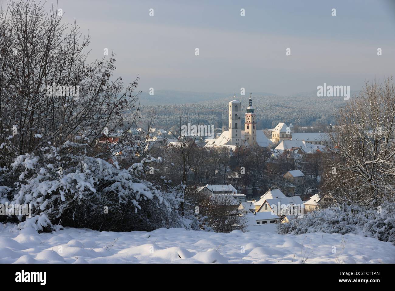 Bayern, Oberpfalz, Winterbaum, Winter, Schnee, Eis, Kirche, Architektur ...