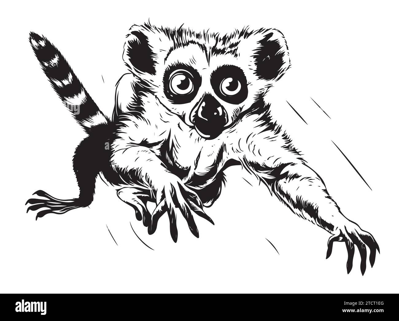 Black and white linear paint draw Lemur vector illustration Lemurs ...