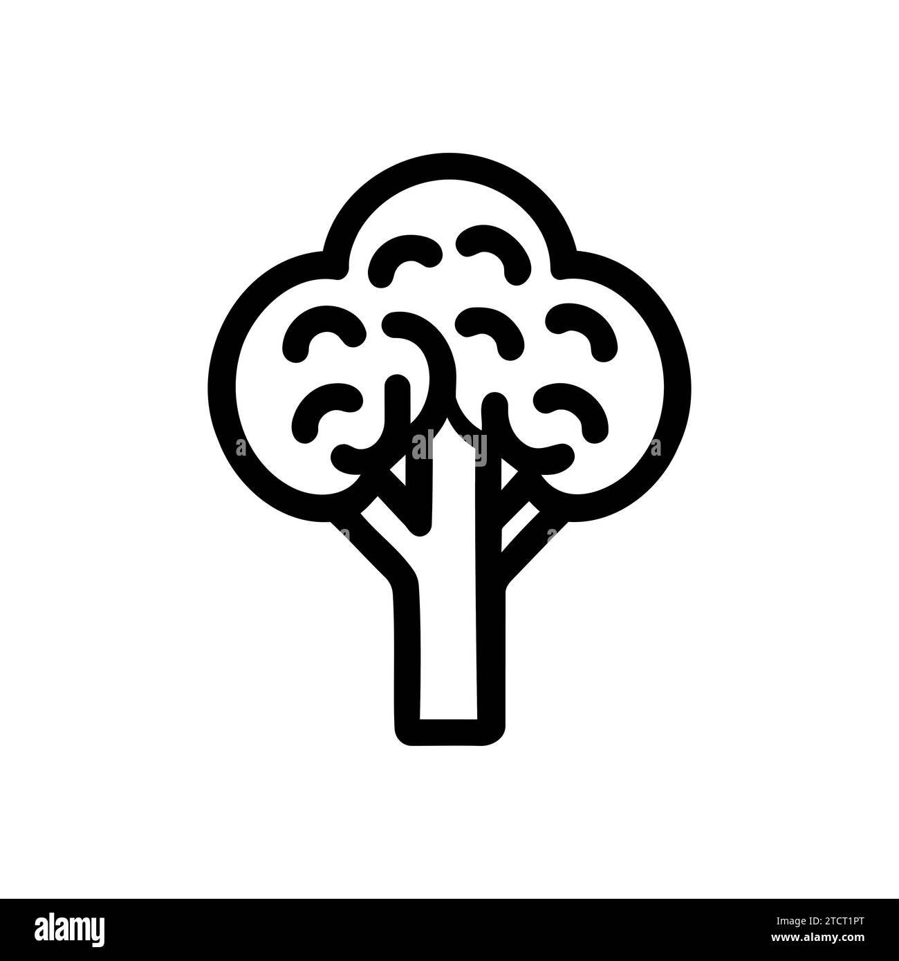 Broccoli simple linear icon Stock Vector Image & Art - Alamy