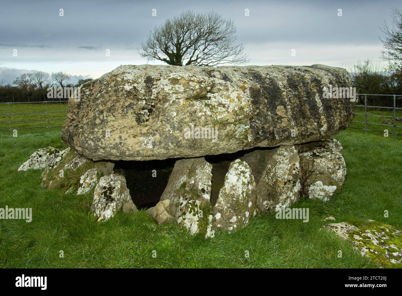 The area underneath a slab of local metamorphic rock was probably ...