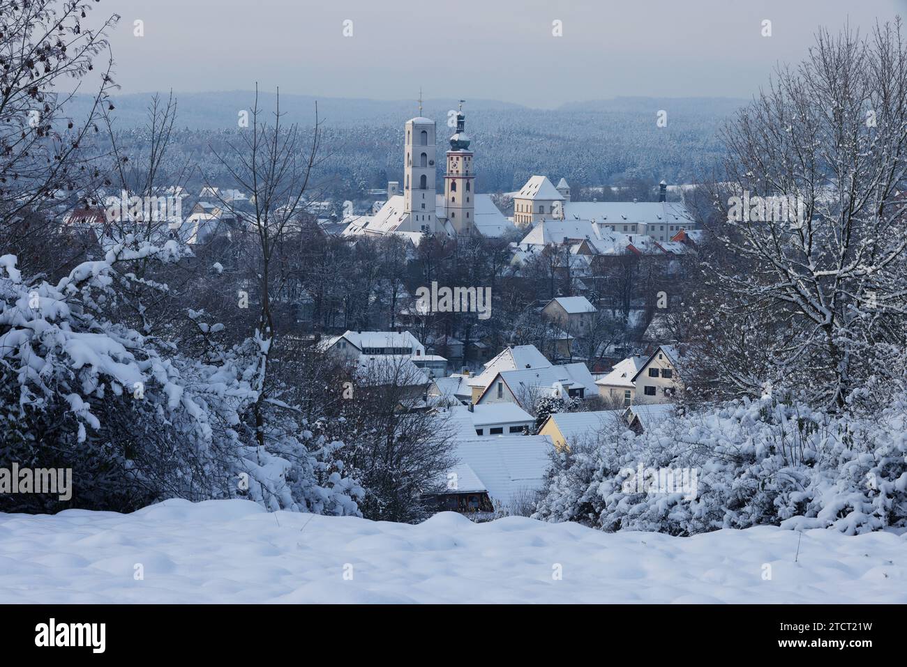 Bayern, Oberpfalz, Winterbaum, Winter, Schnee, Eis, Kirche, Architektur ...