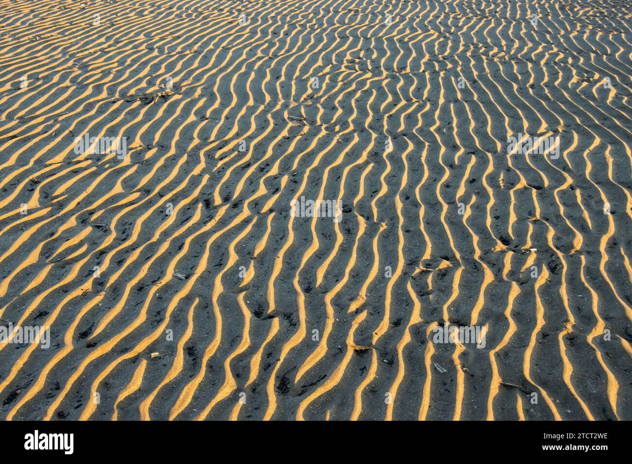 Ripples left in the sand by the retreating tide resemble a desert ...