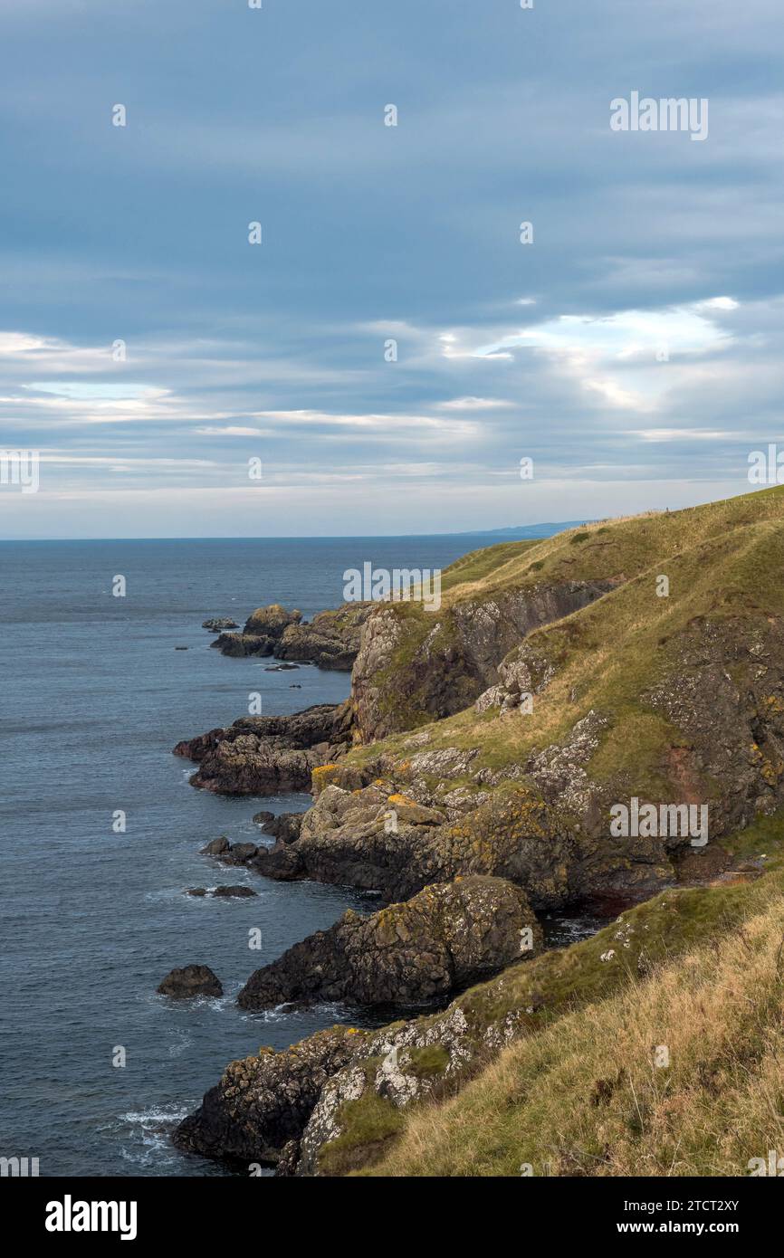 Alisa craig hi-res stock photography and images - Alamy