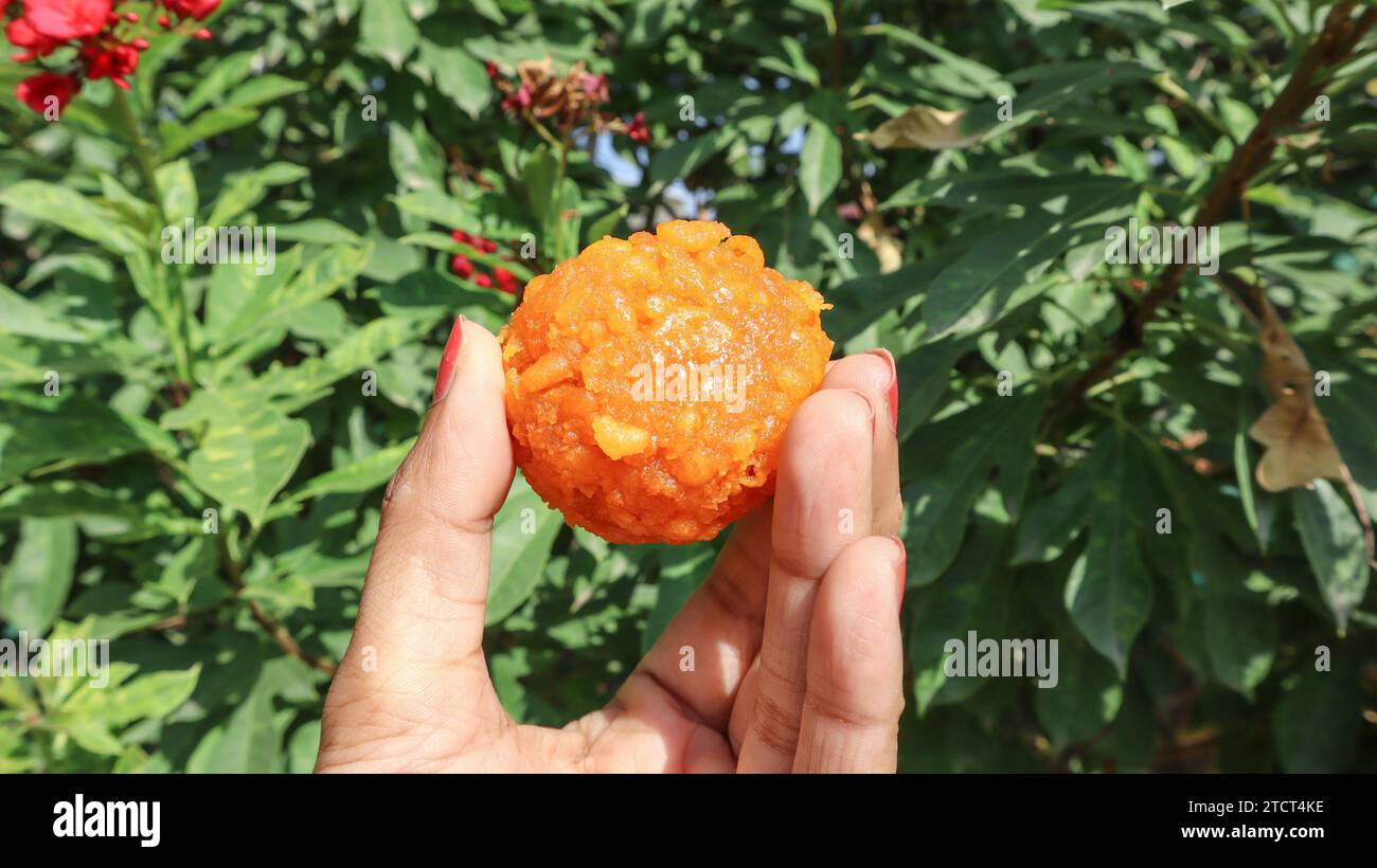 Indian sweet boondi laddu or Motichoor laddoo made of gram flour, Sweet ...