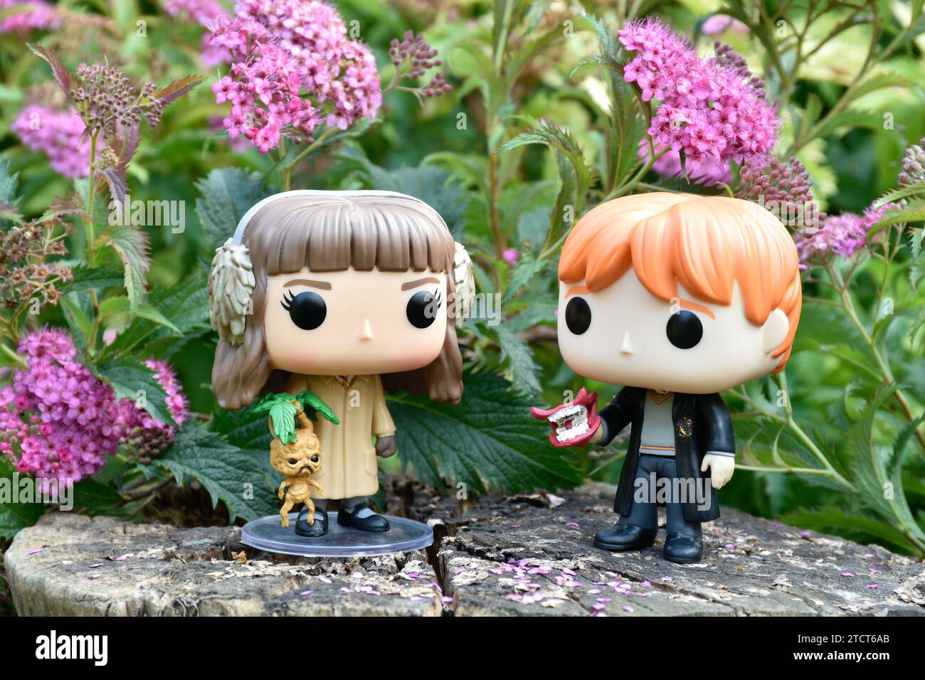 Funko Pop action figures of Hermione Granger and Ron Weasley from movie ...