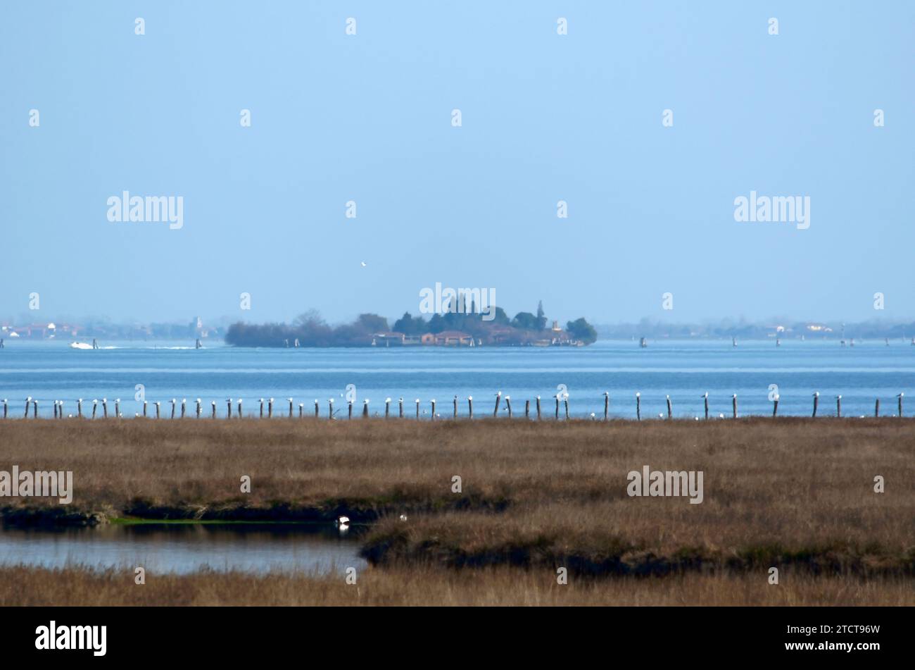 Campalto venice lagoon hi-res stock photography and images - Alamy