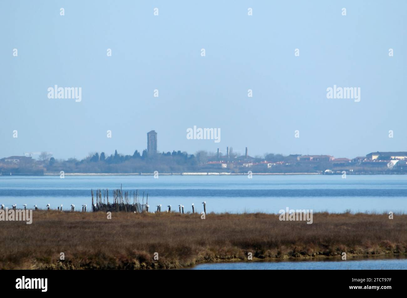 Campalto venice lagoon hi-res stock photography and images - Alamy