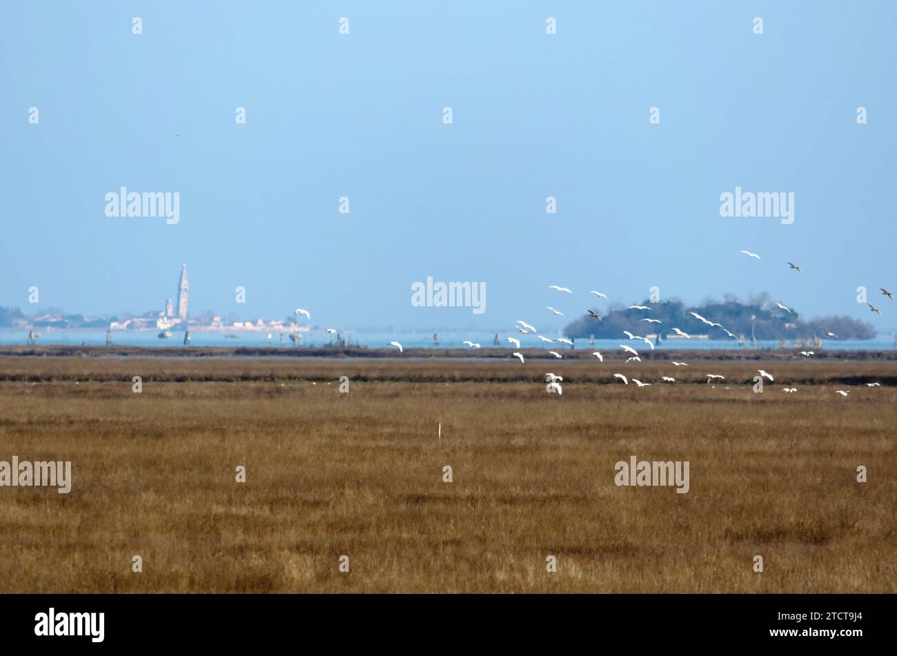 Campalto venice lagoon hi-res stock photography and images - Alamy