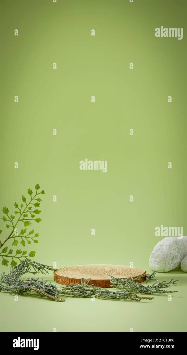 Product display backgrounds, product photography backdrop, product ...