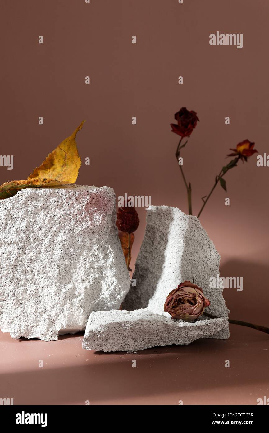 Product display backgrounds, product photography backdrop, product ...