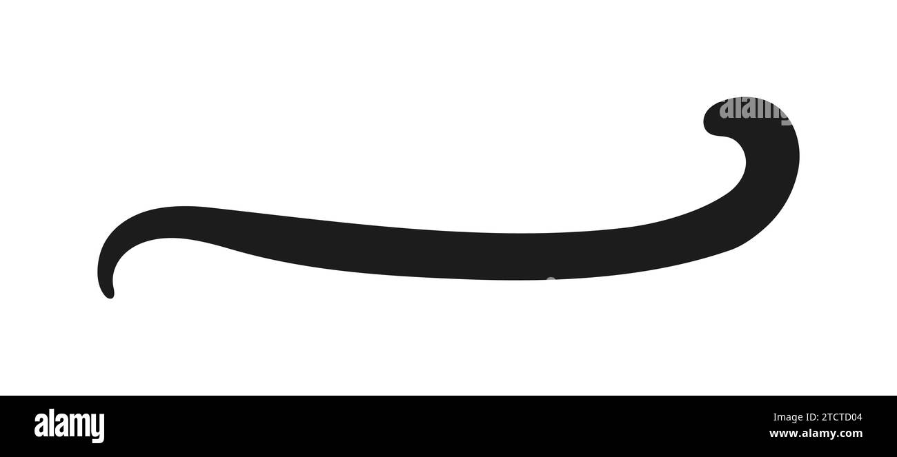 Swoosh and swoops underline typography tail shape. Brush drawn thick ...