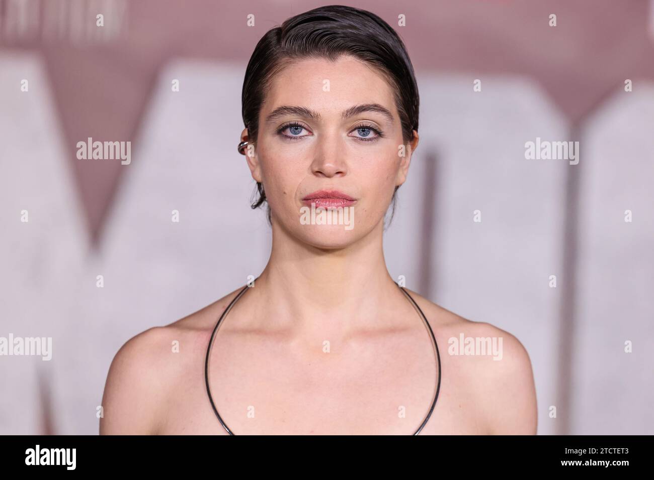 Hollywood, United States. 13th Dec, 2023. HOLLYWOOD, LOS ANGELES ...