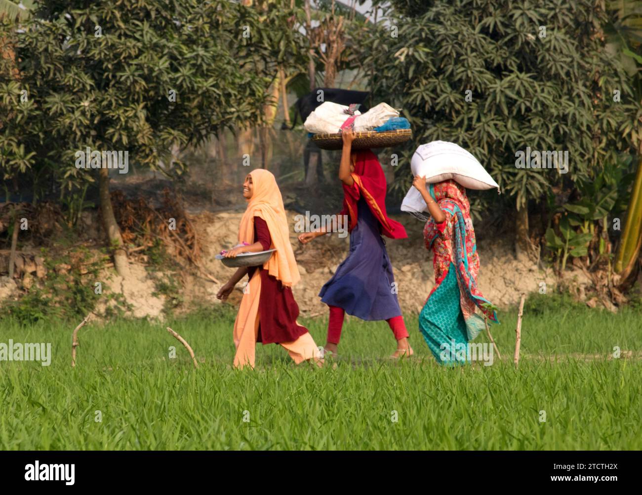 Rural activity hi-res stock photography and images - Alamy