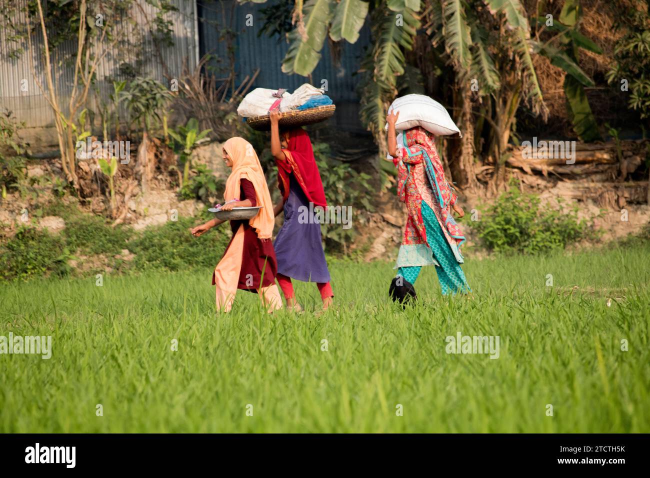 Rural people of Bangladesh Stock Photo - Alamy