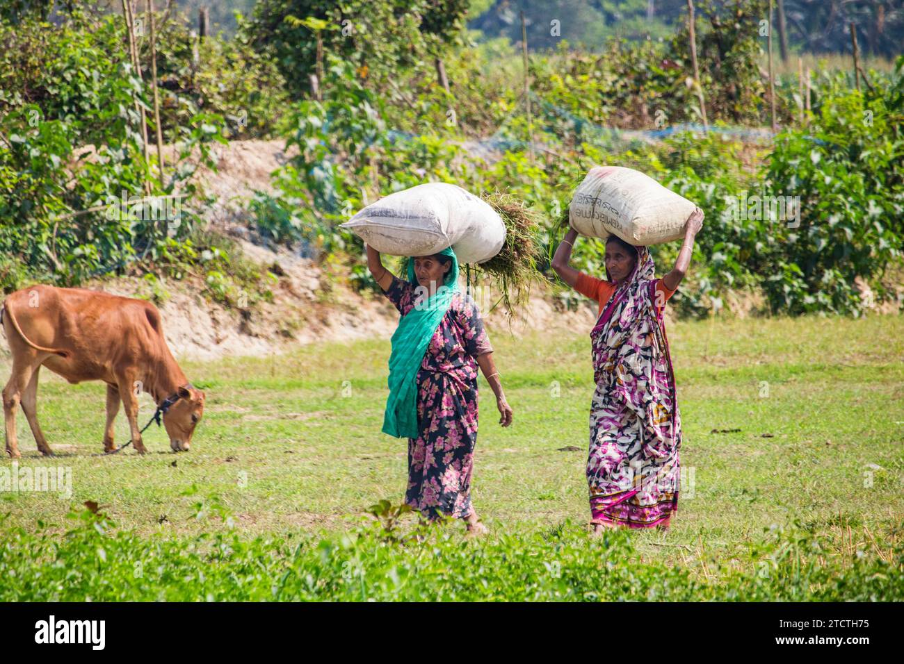 Two women bengali rural life daily lifestyle women people in Bangladesh South Asian Stock Photo ...