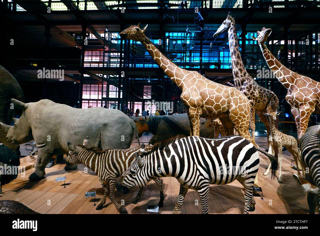Evolution of france hi-res stock photography and images - Alamy