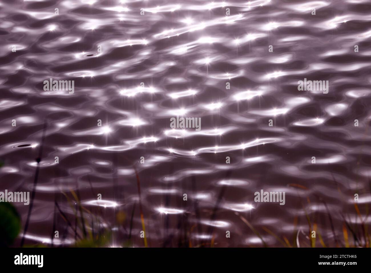 Shining sun water reflection. Glare river dynamic background Stock ...