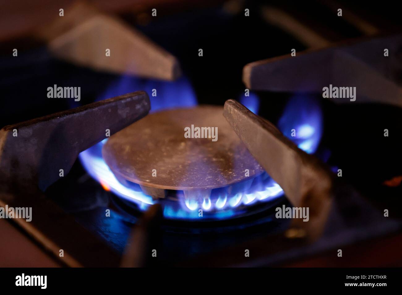 A burner on a kitchen gas stove with a blue flame. Gaz market concept ...