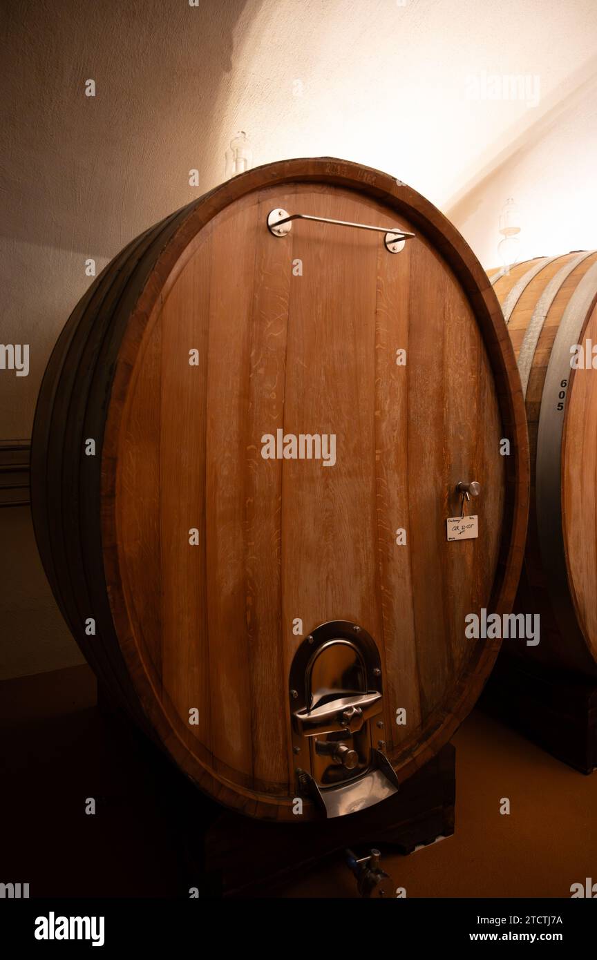 Wooden barrels. Traditional method of production of cremant sparkling ...