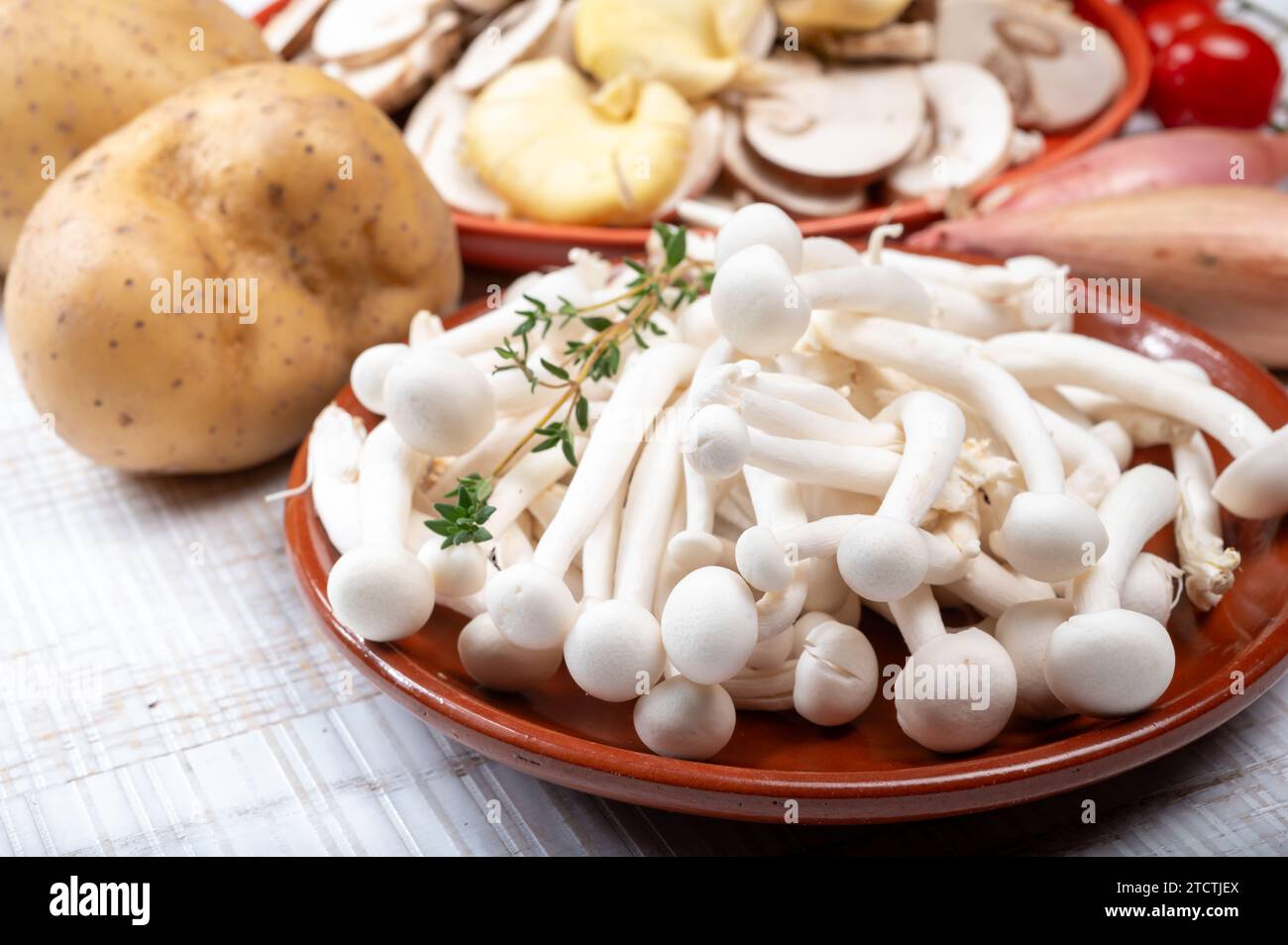 White shimeji edible mushrooms native to East Asia, buna-shimeji is ...
