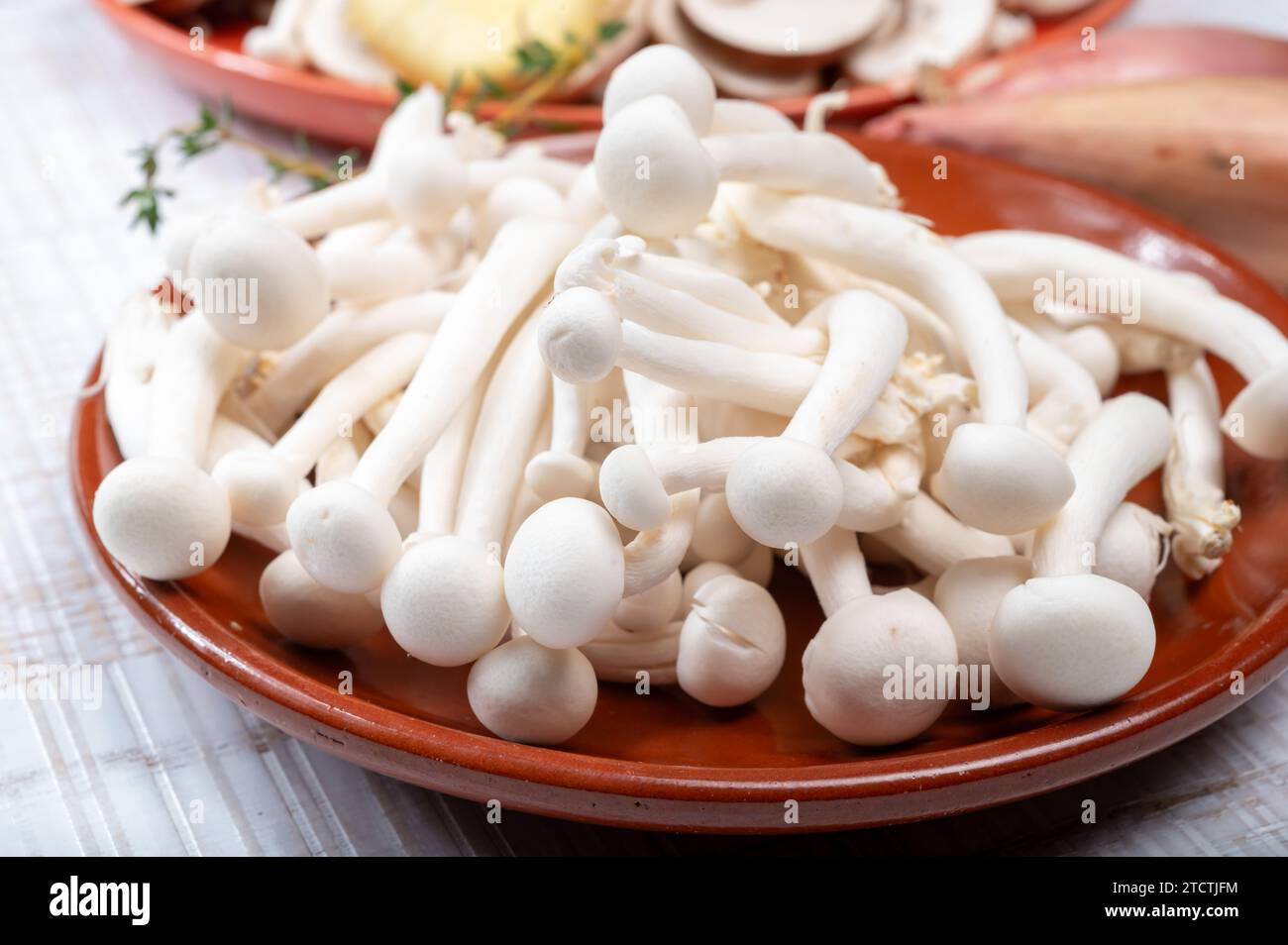 White shimeji edible mushrooms native to East Asia, buna-shimeji is ...