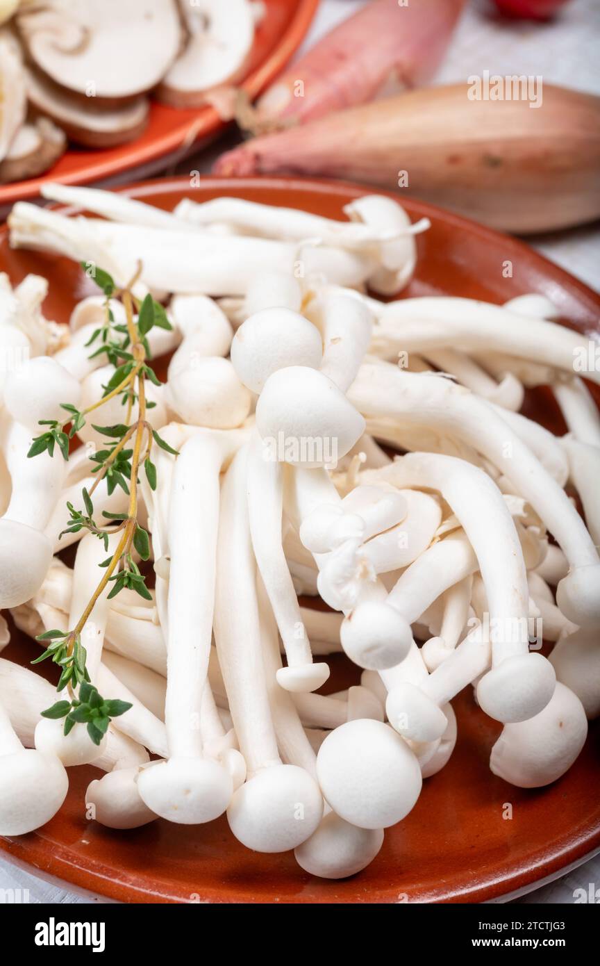 White shimeji edible mushrooms native to East Asia, buna-shimeji is ...