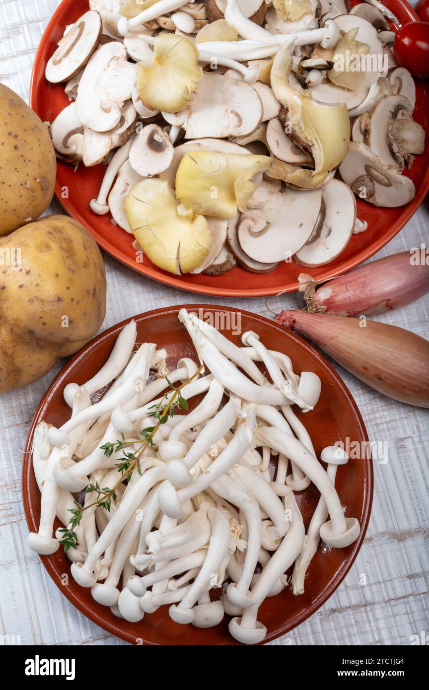 White shimeji edible mushrooms native to East Asia, buna-shimeji is ...