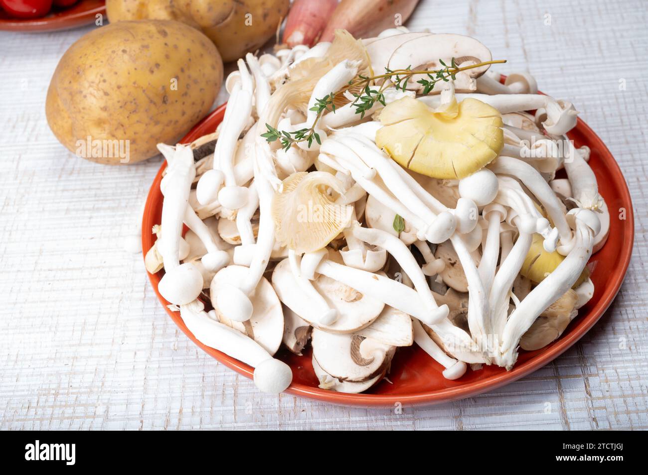 White shimeji edible mushrooms native to East Asia, buna-shimeji is ...