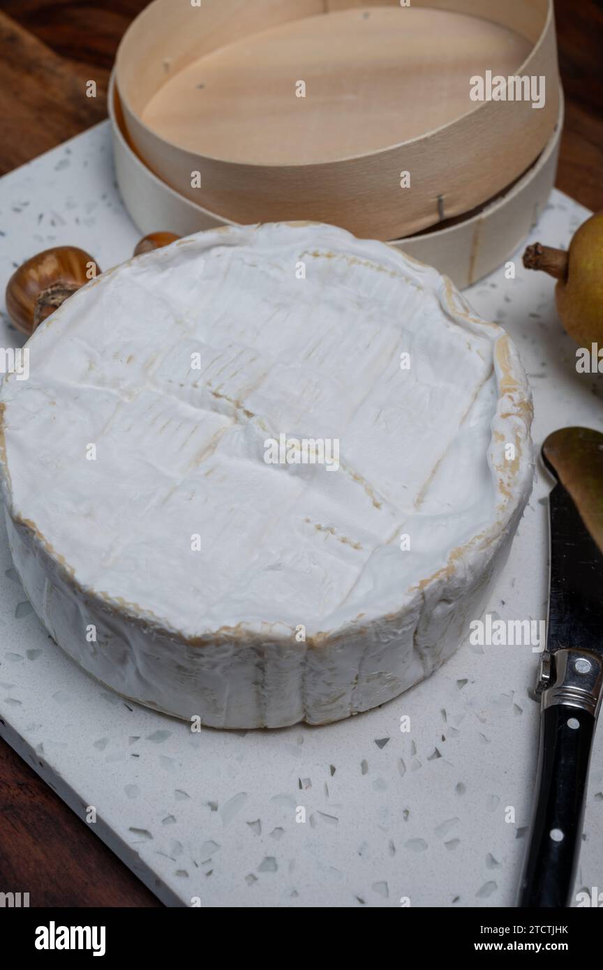 French soft Camembert cheese, original Camembert de Normandie, close up ...