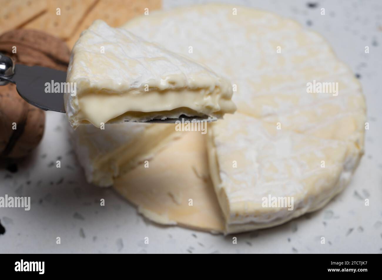 French soft Cremeux de Normandie cheese, soft creamy cheese with white ...