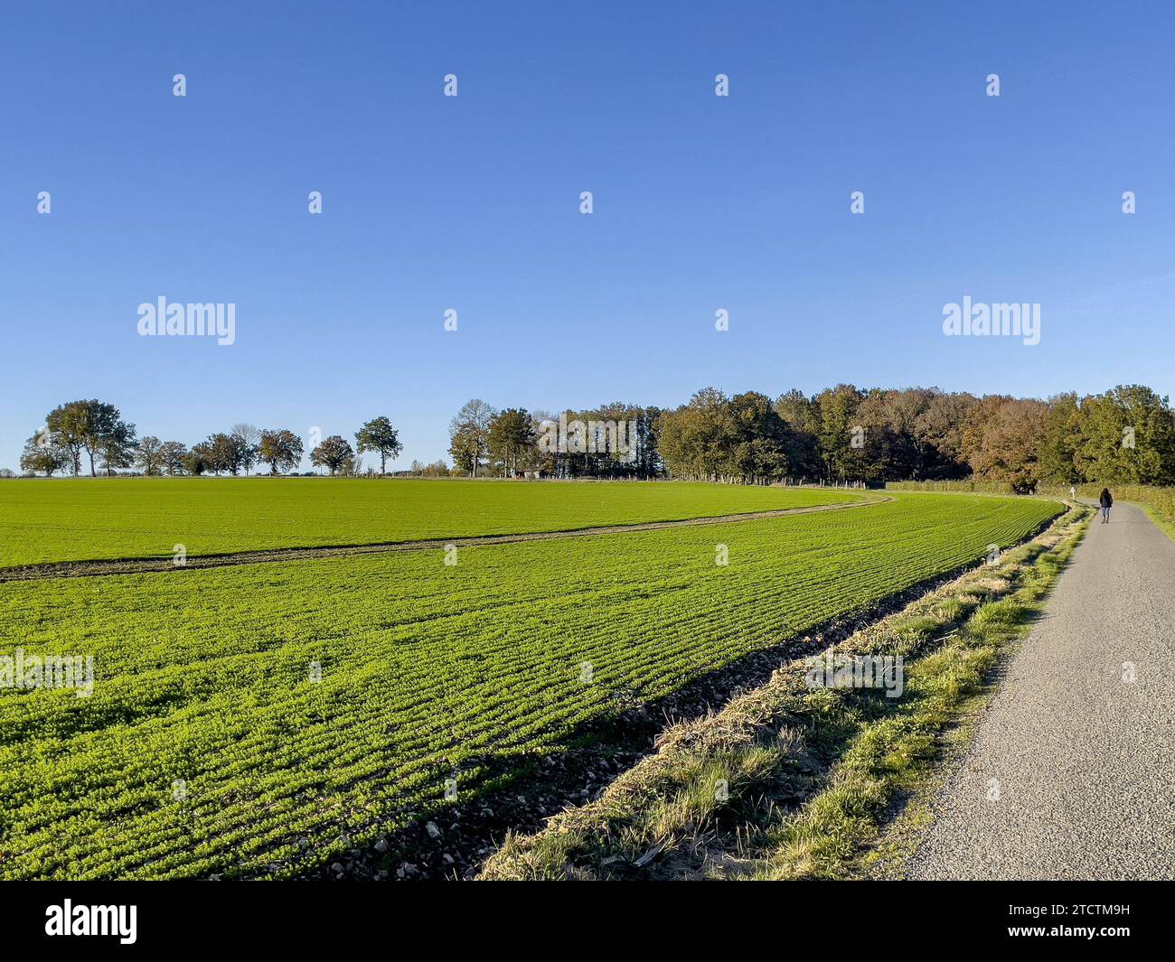 Field and road in Eure, France Stock Photo - Alamy