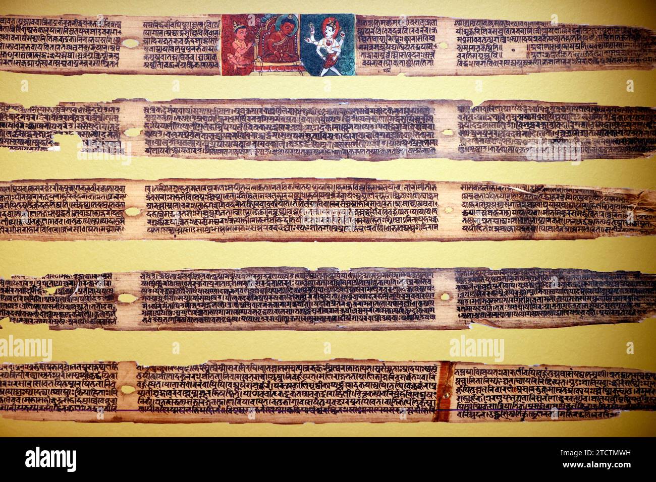 Guimet museum. Treatise on Ayurvedic medicine whose content is taken ...