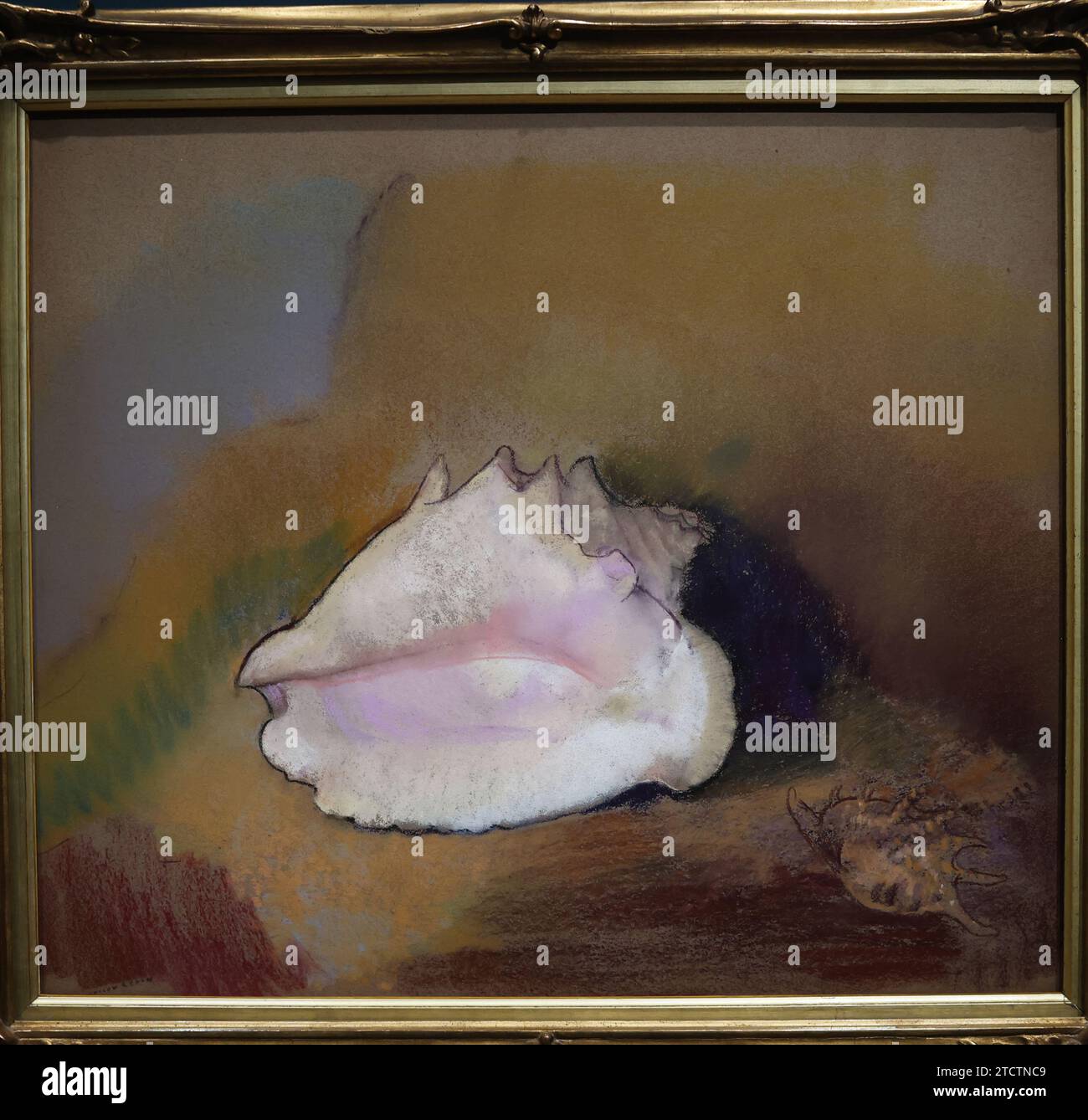 Orsay Museum, Paris, France Odilon Redon, The Shell, 1912, pastel Stock ...